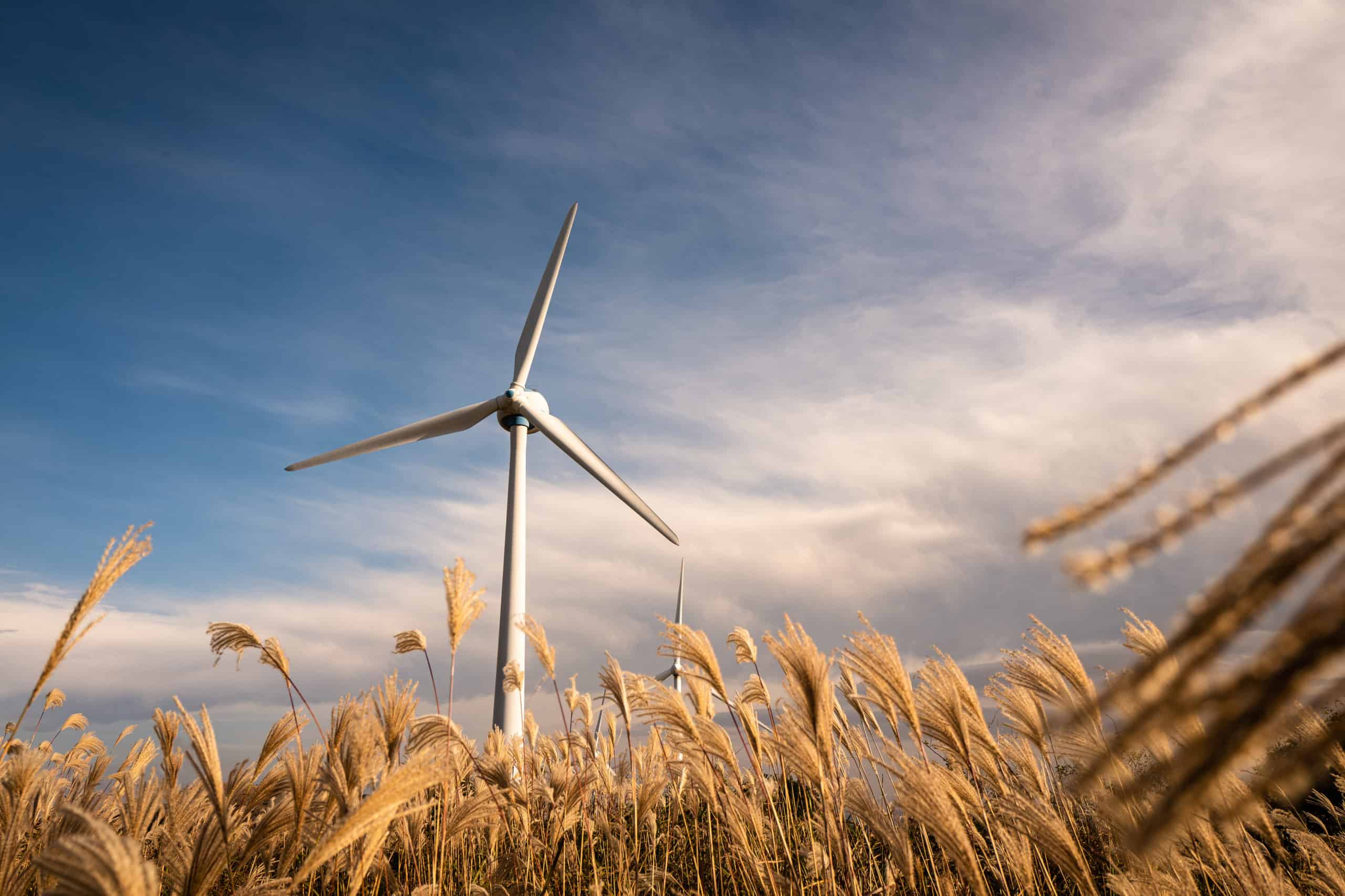 Our Story - Minnesota Conservative Energy Forum